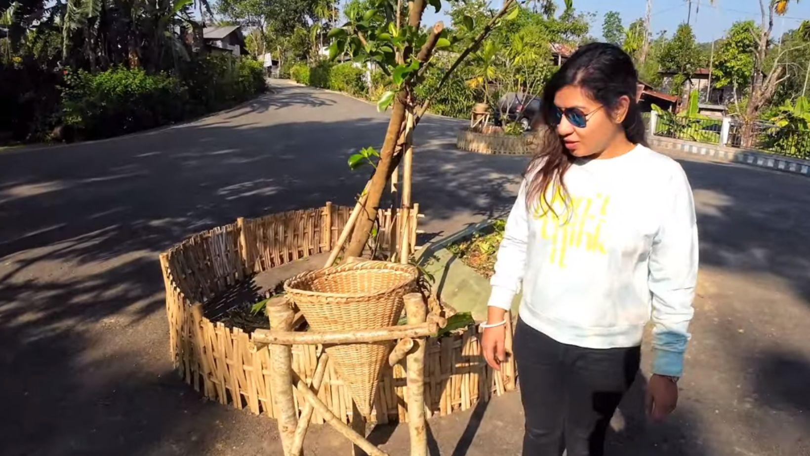 Mawlynnong Tour: The Cleanest Village in Asia, Attractions in Meghalaya