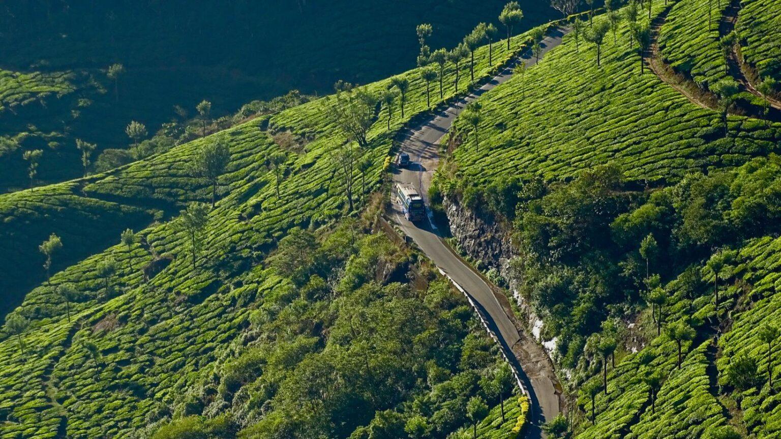 Munnar Trip Plan for 2 Days: Perfect Itinerary, Best Places & Travel Tips