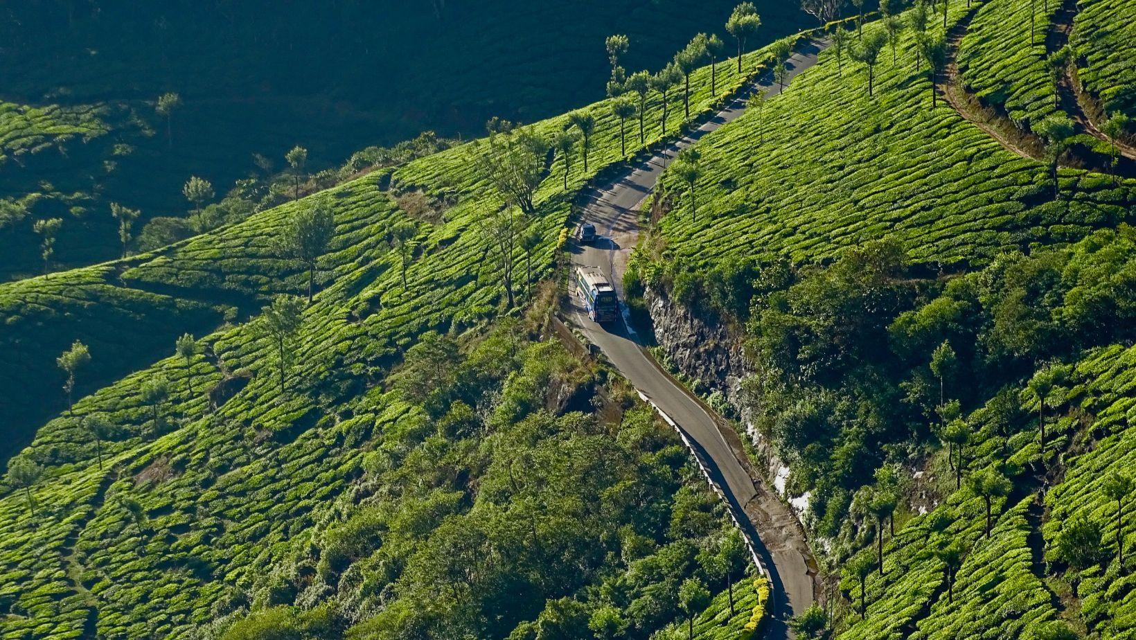 Pothamedu View Point: Most Amazing Places to See in Munnar