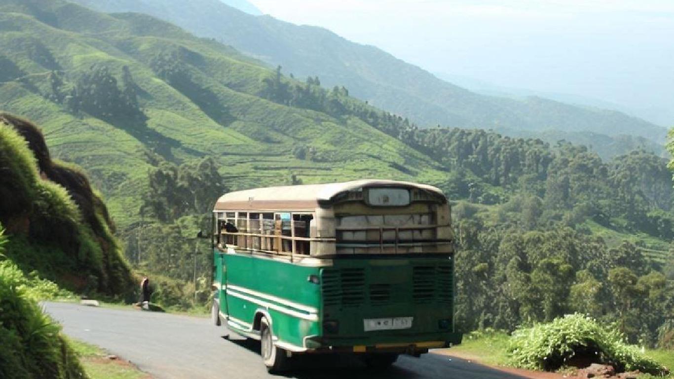 Kochi to Munnar Trip: How to Travel Smart, Stay Well & Enjoy the Route