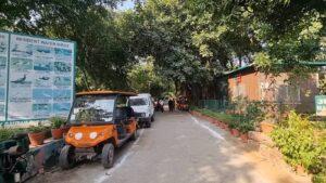 Okhla Bird Sanctuary: Ticket Price, Timings, Best Time to Visit!