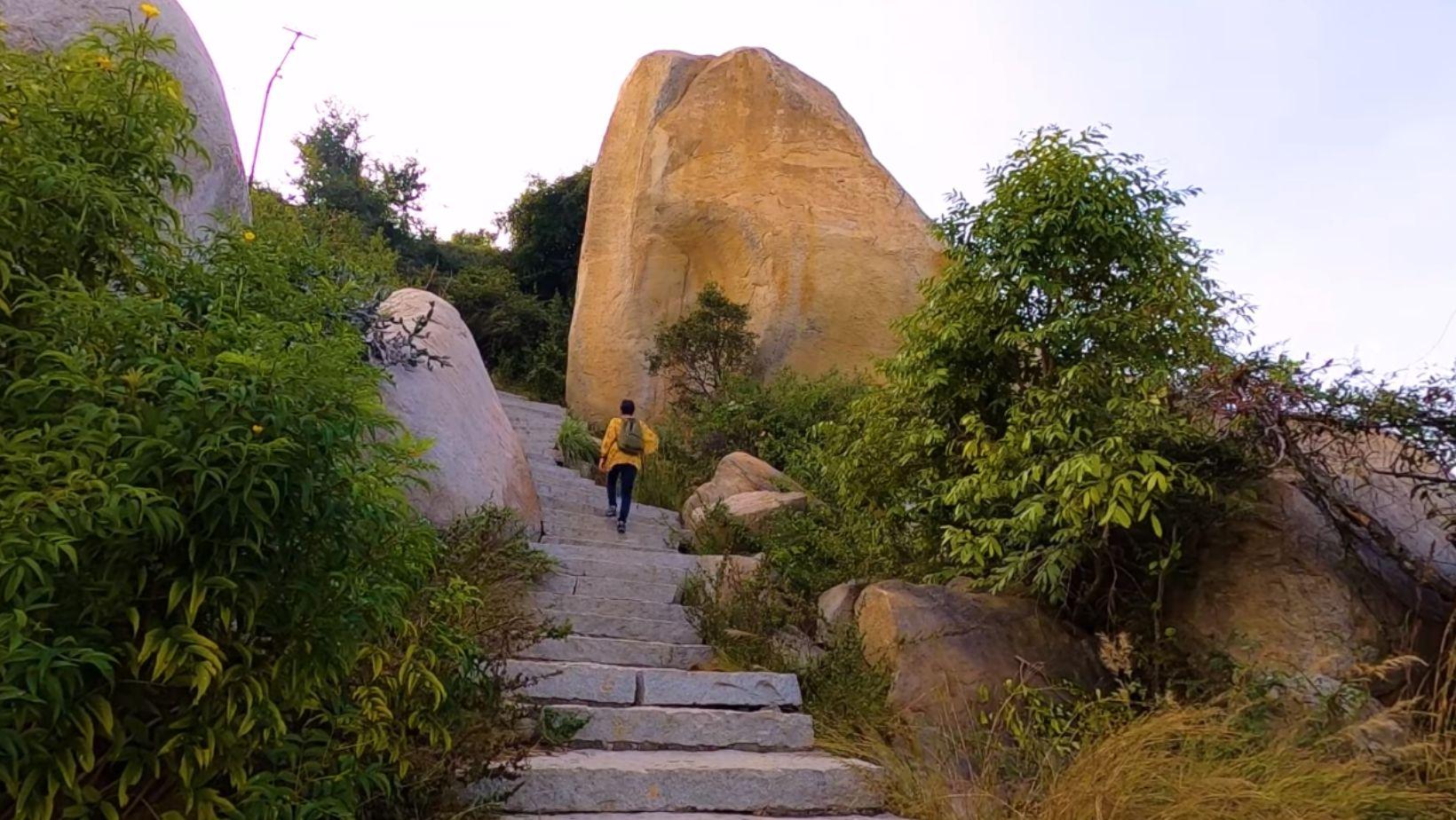 Avani Betta Trek: Exploring History, Timings, and Majestic Heights!