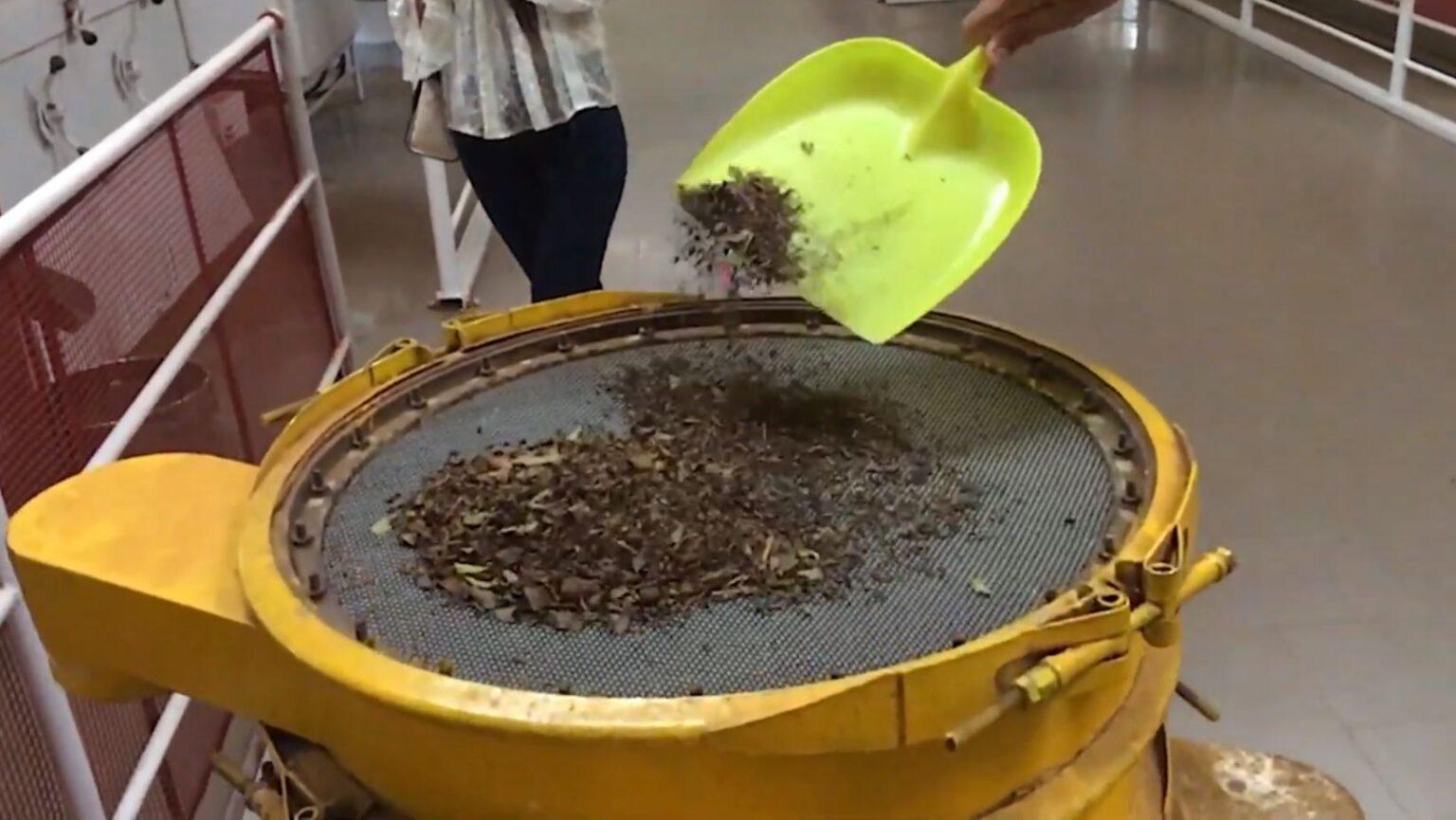 Tata Tea Museum (Munnar): History, Timings & Ticket Price!