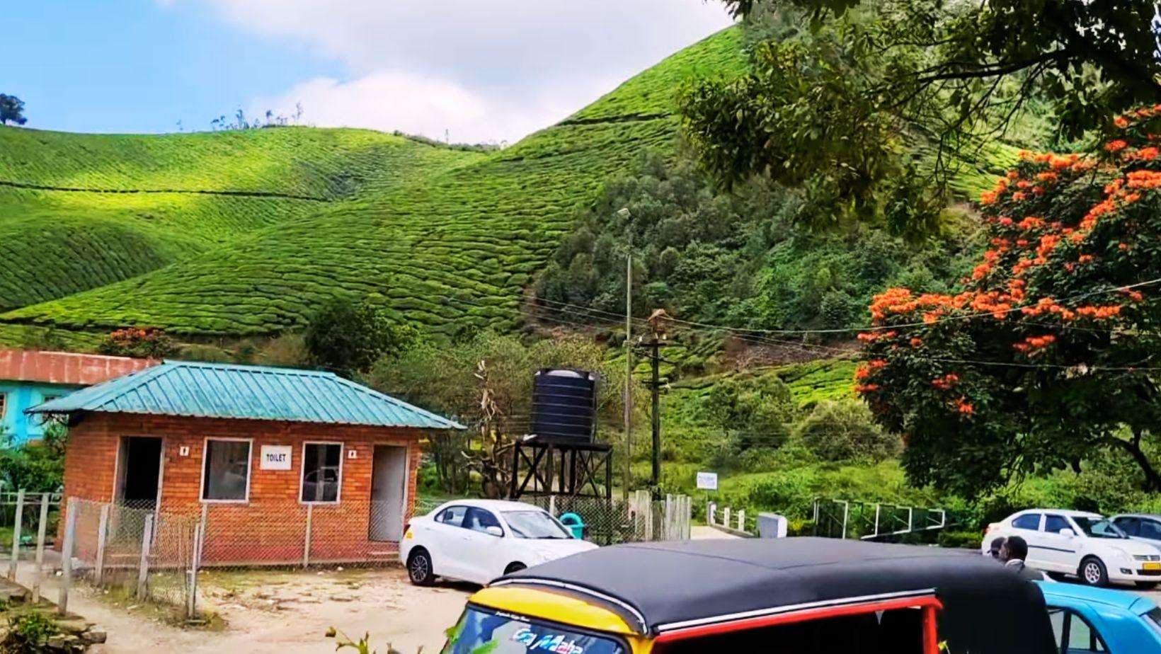Tata Tea Museum (Munnar): History, Timings & Ticket Price!