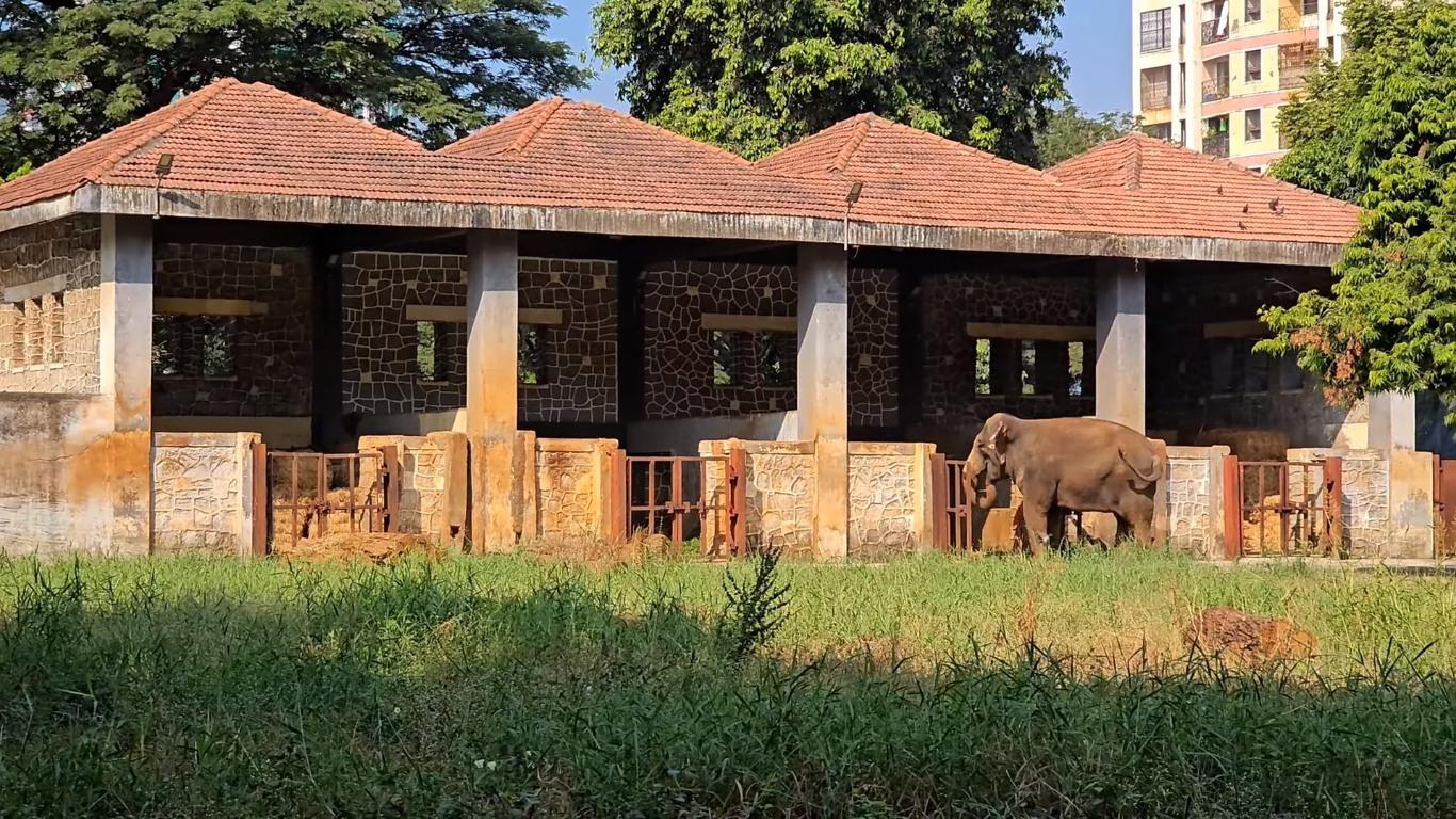 Veermata Jijabai Bhosale Botanical Udyan and Zoo: Timings & Entry Fee!