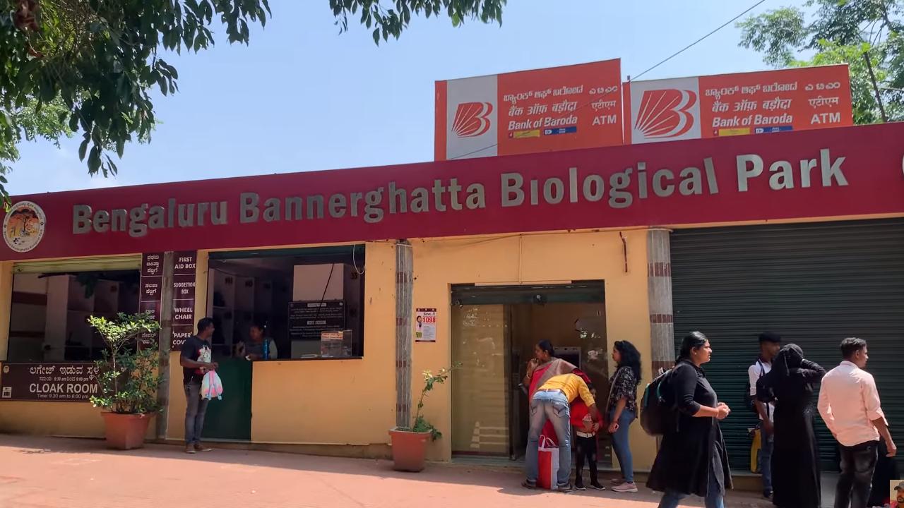 Bannerghatta National Park: About, Entry fee, Timings, Safari!