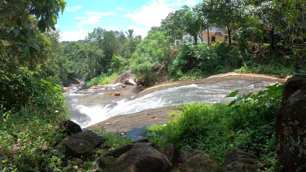 Meenmutty Waterfalls: Timings, Entry Fees, Location!