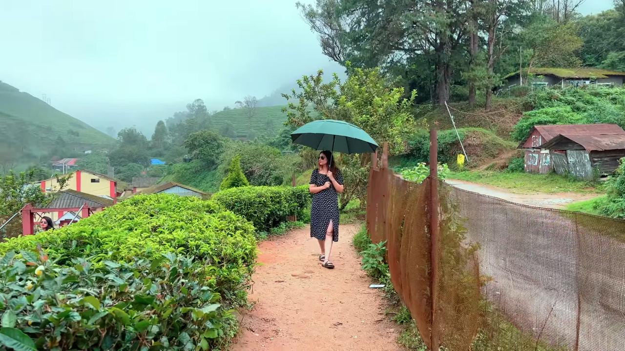 Tourist attractions in munnar kerala 60 photos - Cappadociaconcepttour.com