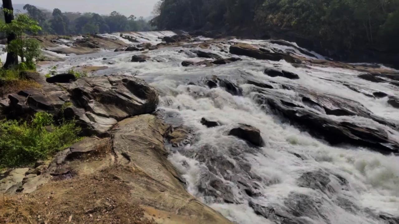 Vazhachal Falls: Timings, Entry Fee, Photos!