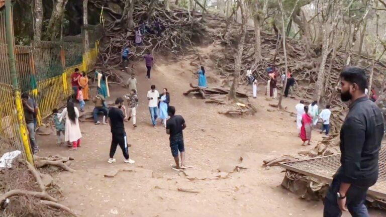 Guna Caves Kodaikanal: History, Timings, Entry Fee, Photos!