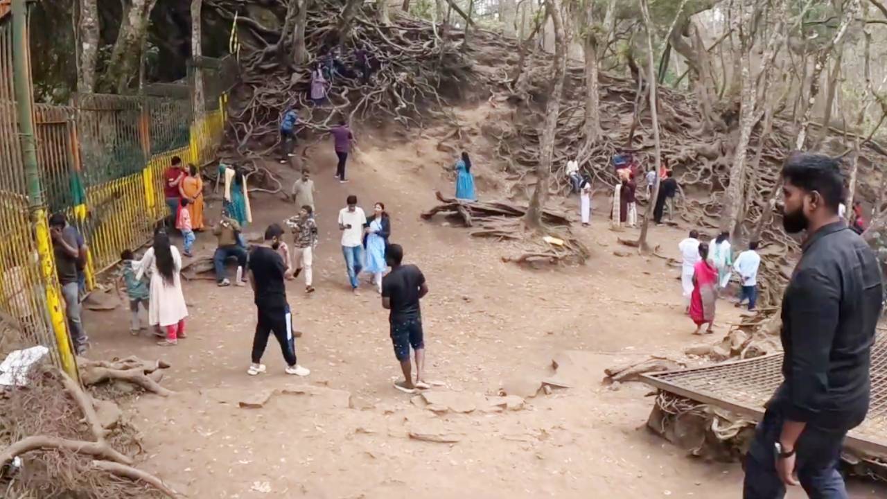 Guna Caves Kodaikanal: History, Timings, Entry Fee, Photos!