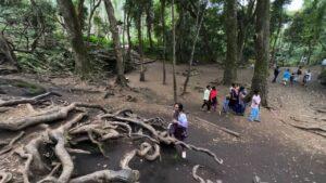 Guna Caves Kodaikanal: History, Timings, Entry Fee, Photos!