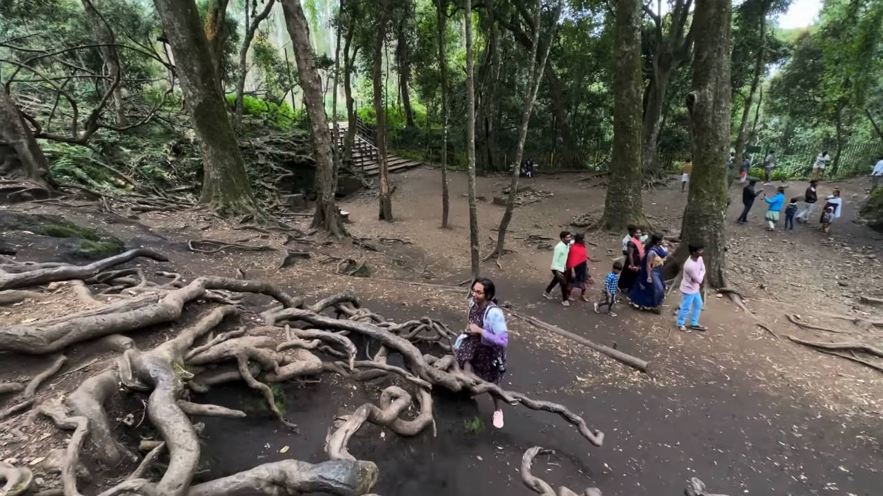 Guna Caves Kodaikanal: History, Timings, Entry Fee, Photos!