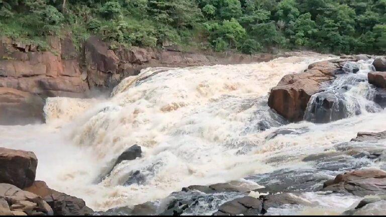 Best Picnic Spot in Odisha for Every Traveler