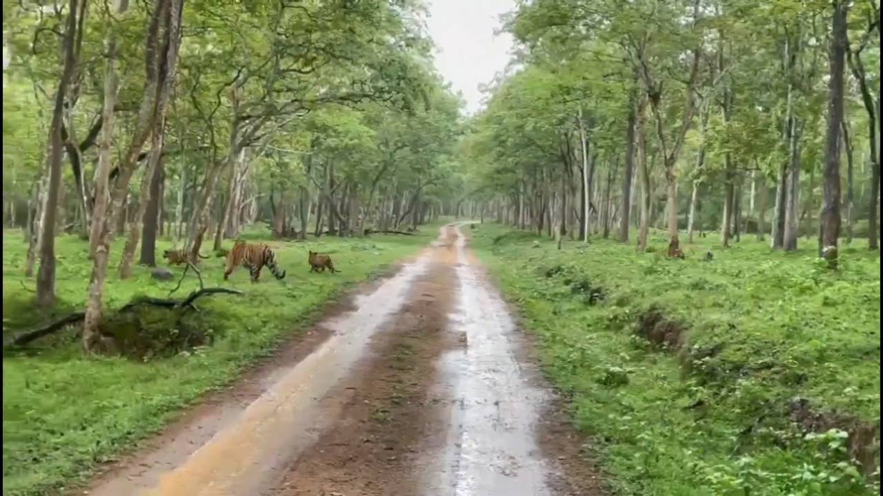 Wayanad Tourist Places List with Images