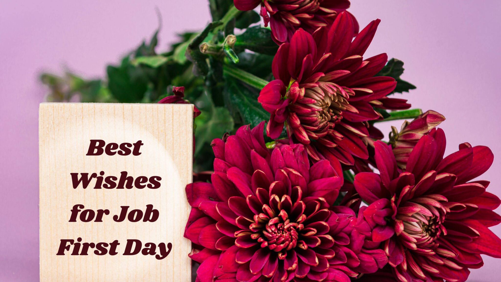 101+ Best Wishes for Job First Day: Inspirational Messages for All ...
