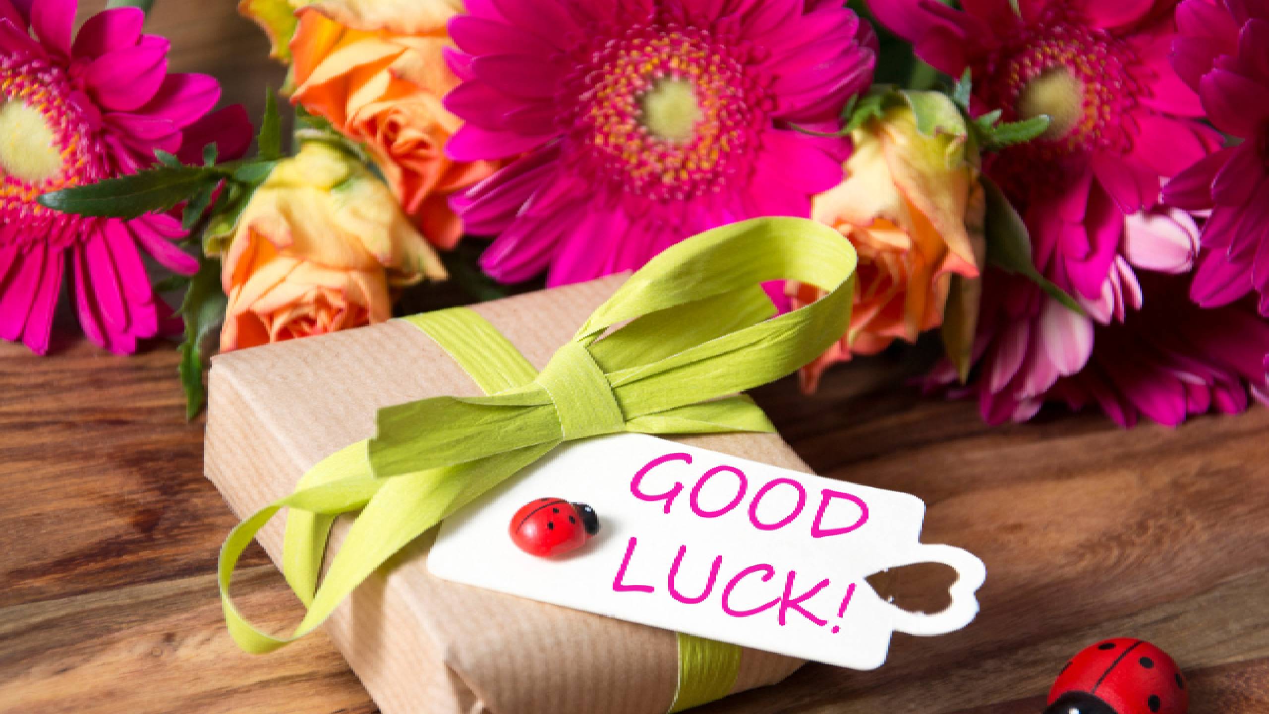 150 Best Wishes and Good Luck Messages for All Occasions - Citybit