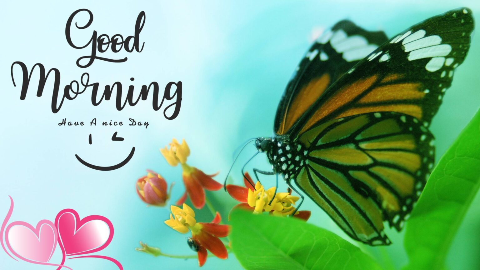 450+ Special Good Morning Wishes, Quotes & Images - CityBit Travel