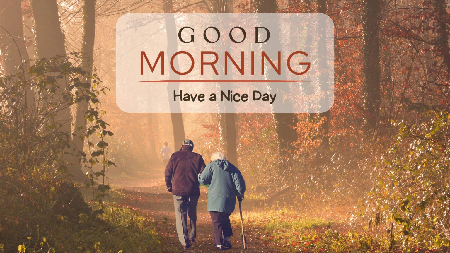 450+ Special Good Morning Wishes, Quotes & Images - CityBit Travel