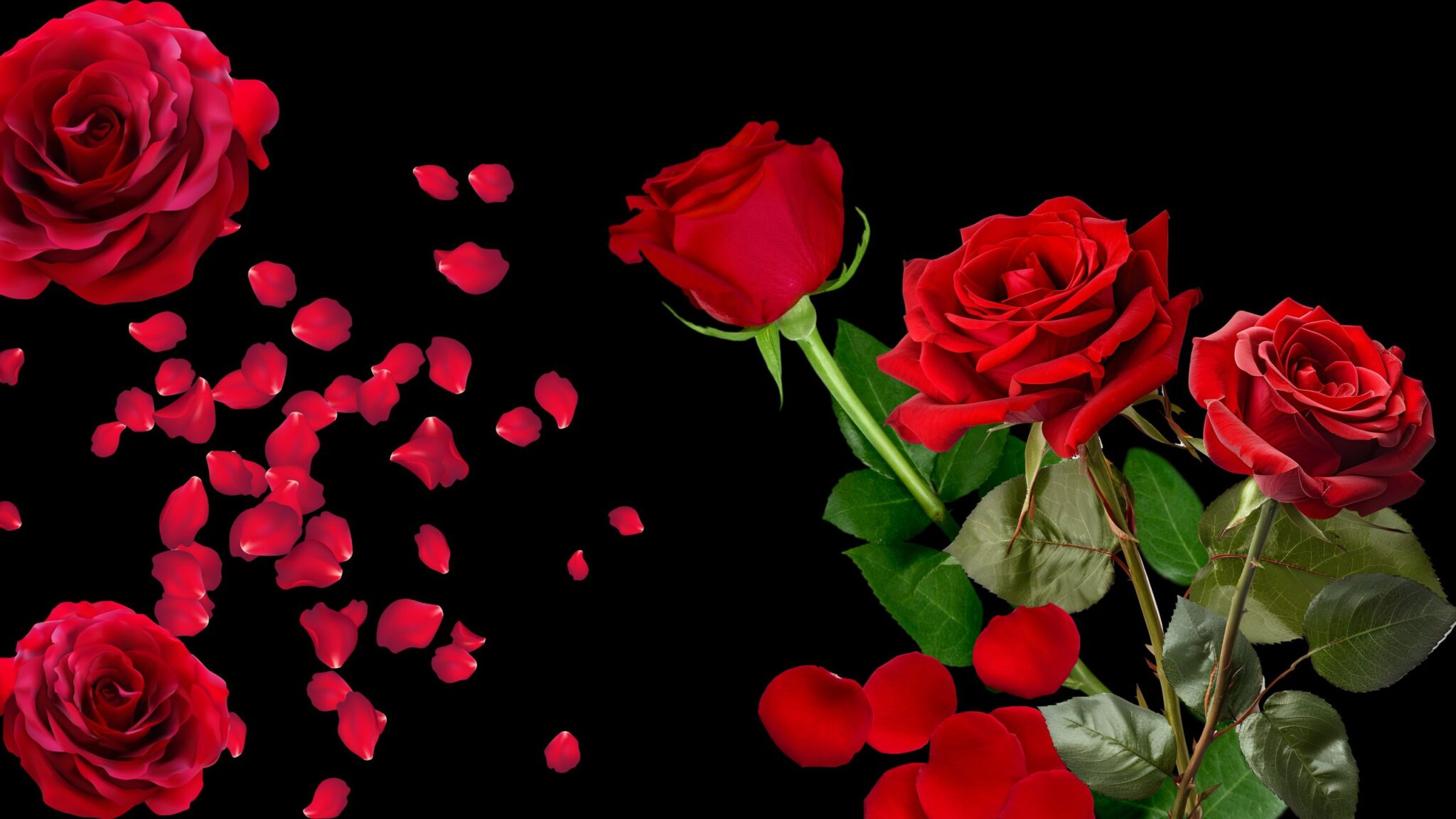 Valentine Week Days List 2026 – All Day Name from 7 Feb to 14 Feb ...