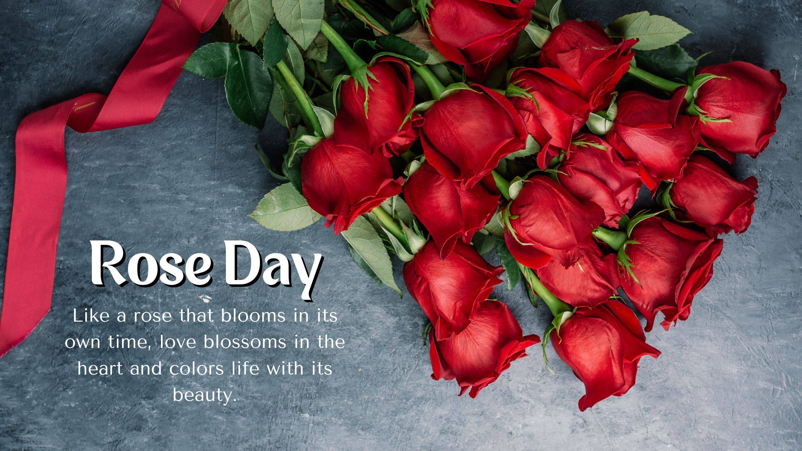 199+ Rose Day Wishes for Love, Friends & WhatsApp Status- CityBit Travel