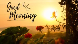 450+ Special Good Morning Wishes, Quotes & Images - CityBit Travel