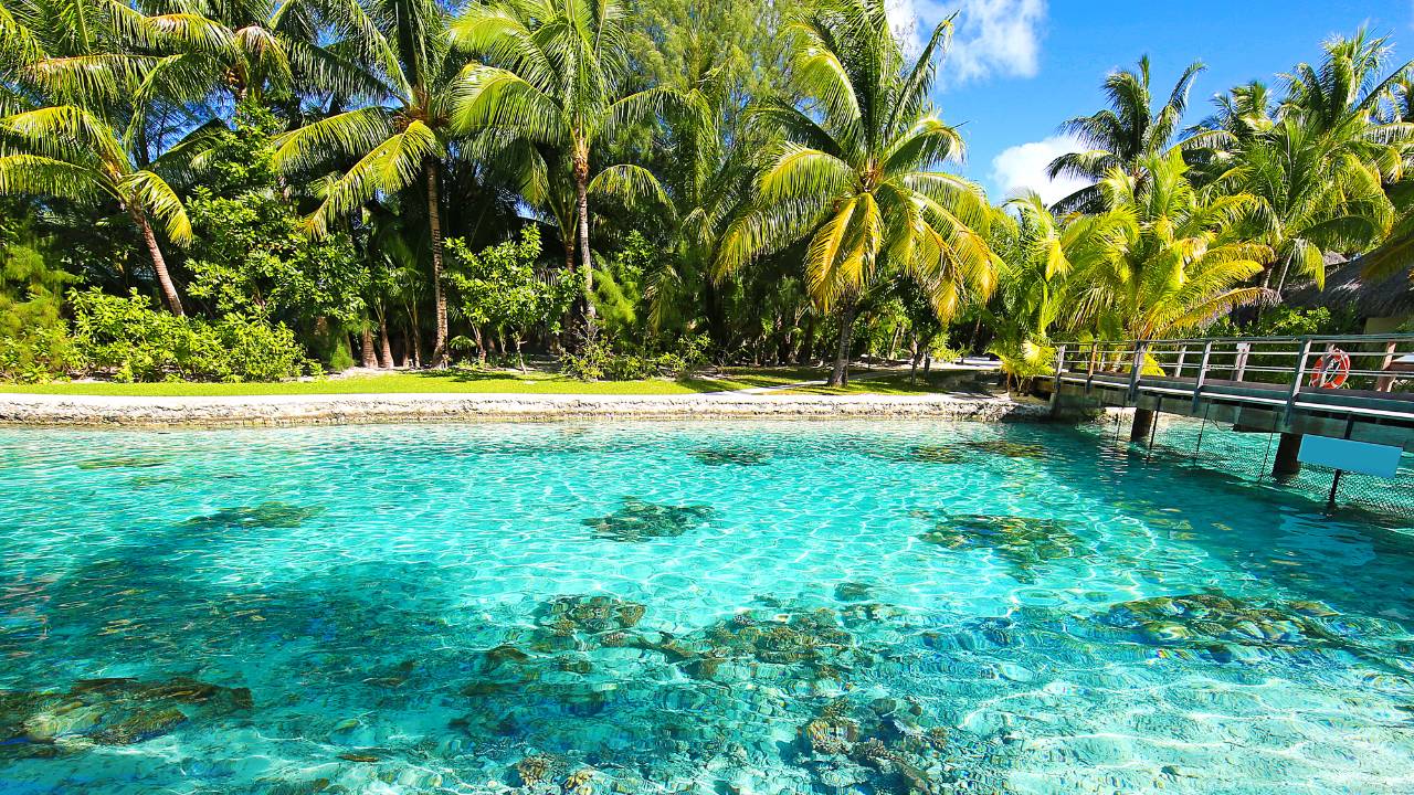 Best Time to Visit Bora Bora: A Month-by-Month Guide - CityBit Travel