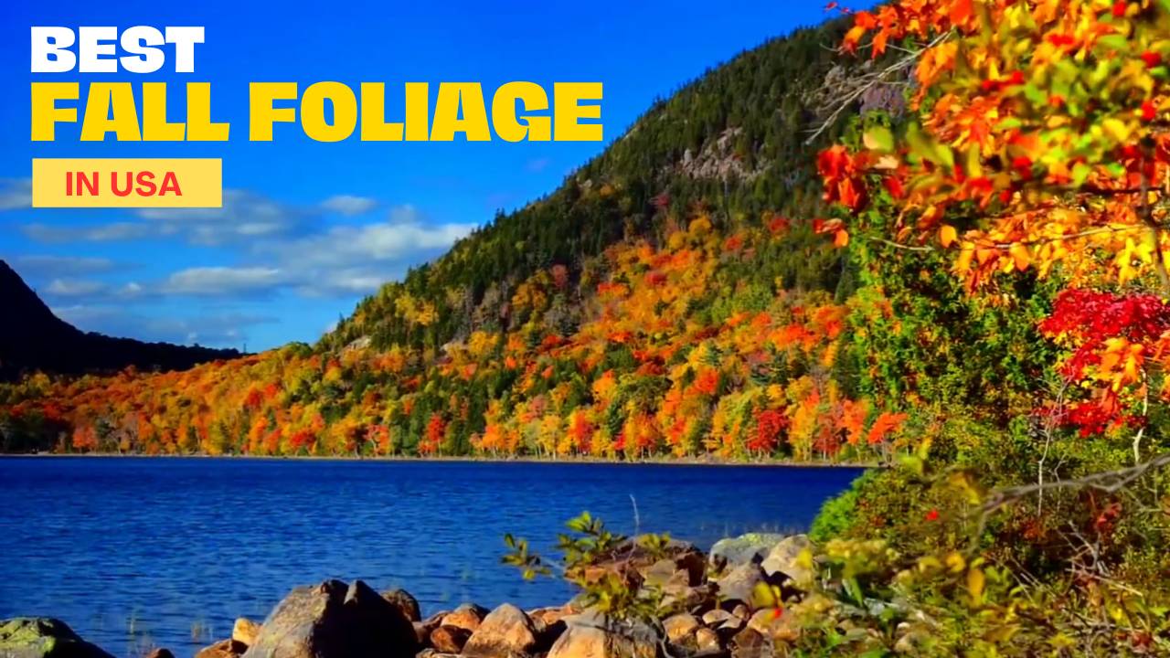 Best Fall Foliage in USA: Top Scenic Spots for Stunning Autumn Colors ...