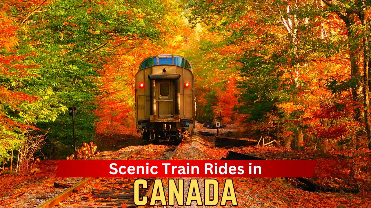 Scenic Train Rides in Canada for Every Type of Traveler - CityBit Travel