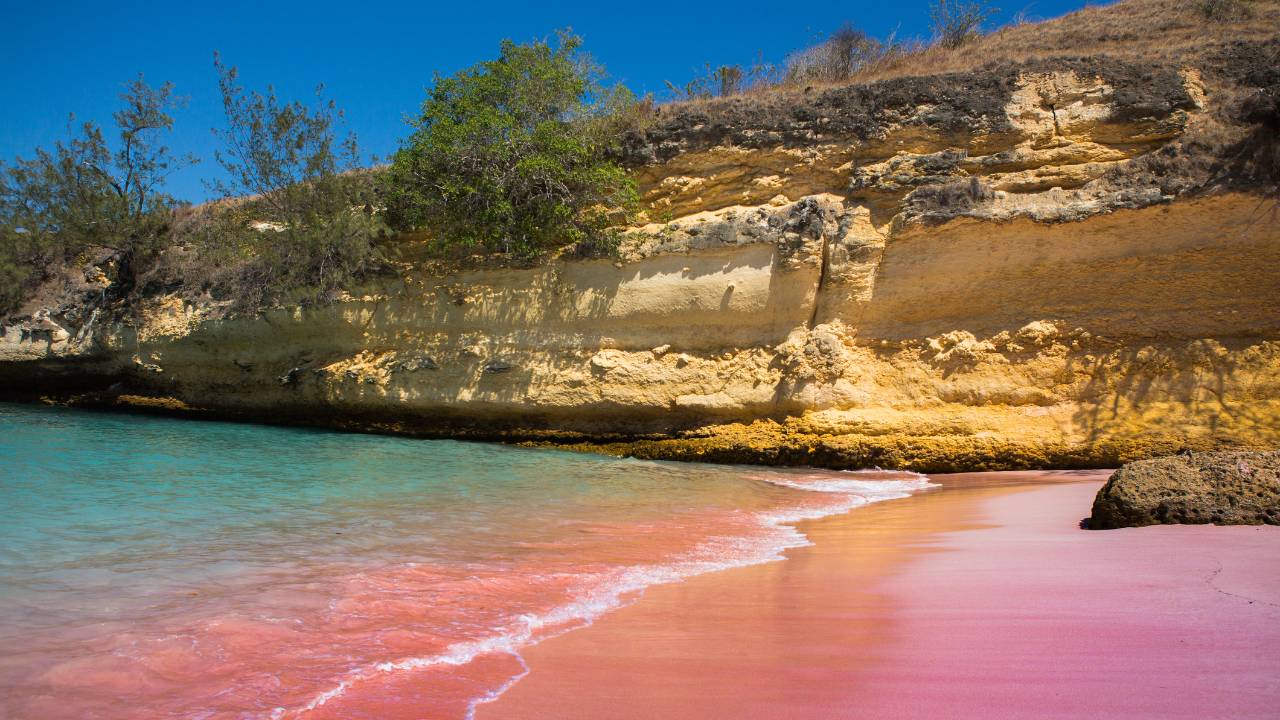 Pink Beach Indonesia: How to Get There, Travel Costs & Photos- CityBit ...