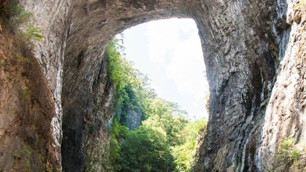 Natural Bridge Caverns: Location, Tickets, Pass & Best time to visit ...