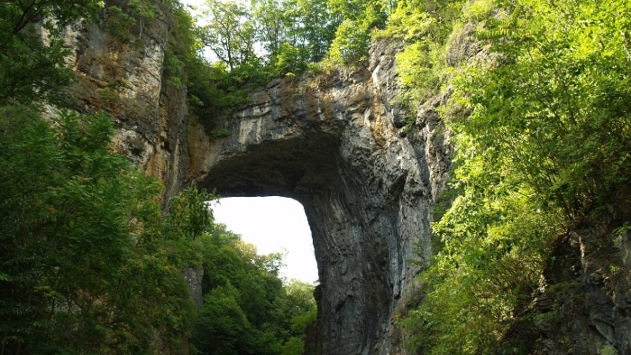 Natural Bridge Caverns: Location, Tickets, Pass & Best time to visit ...