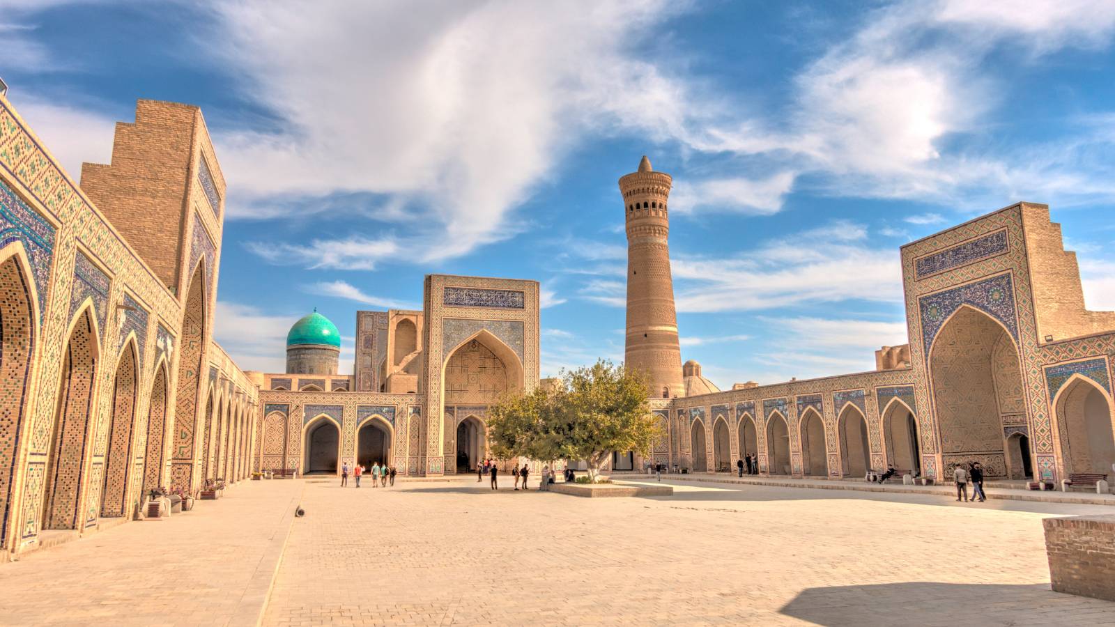 Best Time to Visit Morocco for Festivals, Surfing, and Sahara Stars