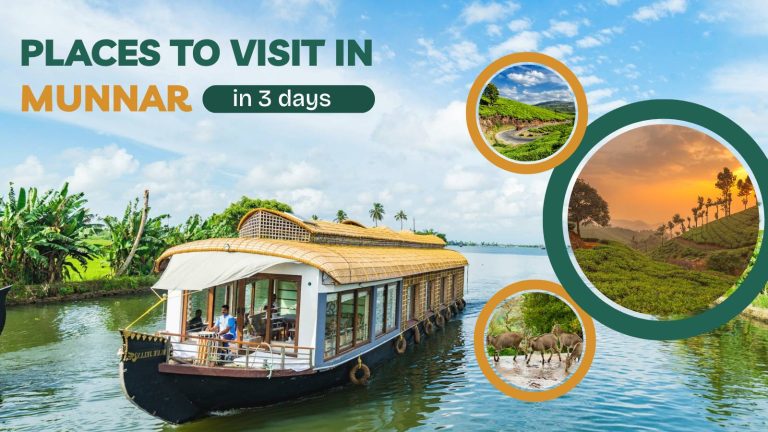 3 Days Trip to Munnar from Kochi by Road: Scenic Routes, Itinerary & Tips